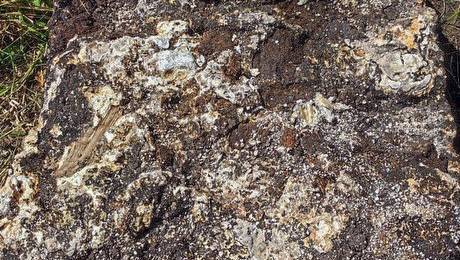 22kg slab of ancient 'bog butter' discovered on Donegal farm