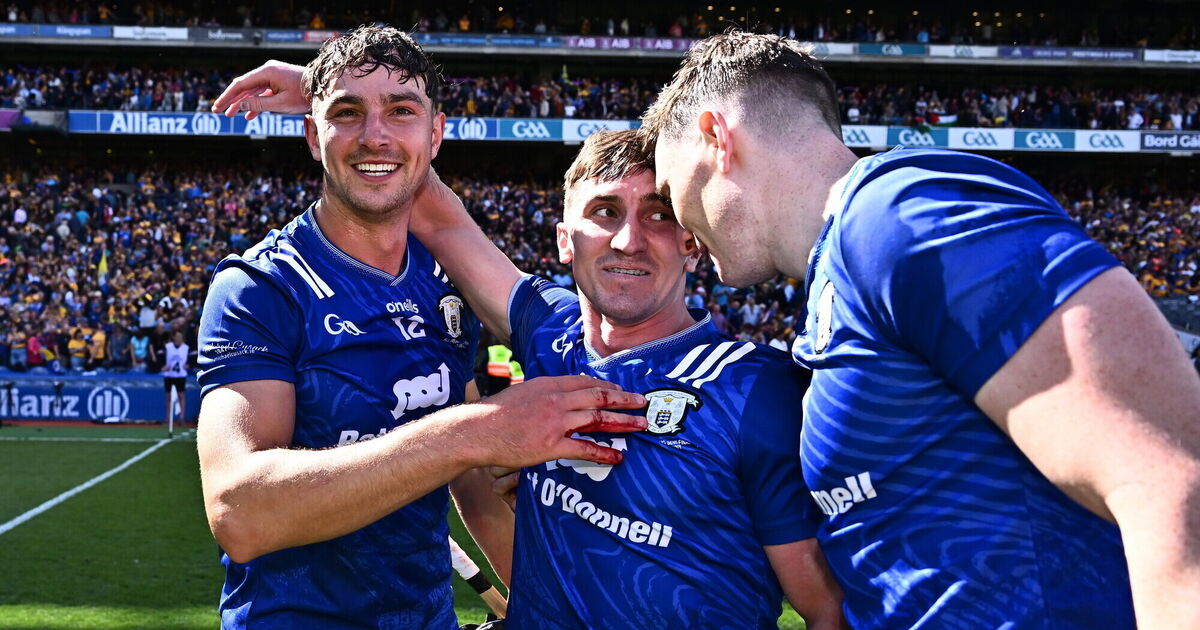 David Fitzgerald: Experience, rest and bench impact got Clare over the line