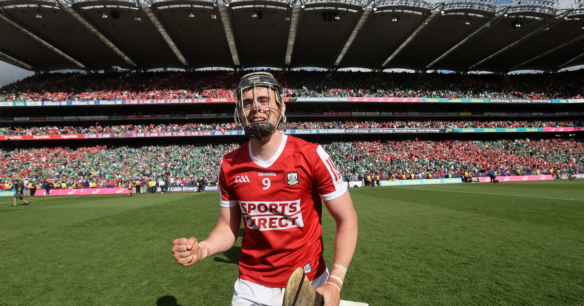 Darragh Fitzgibbon: ‘You have to enjoy it as these are the things you ...