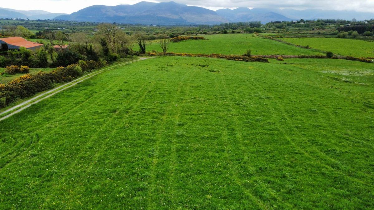 Strong interest in 58-acre holding outside Killarney