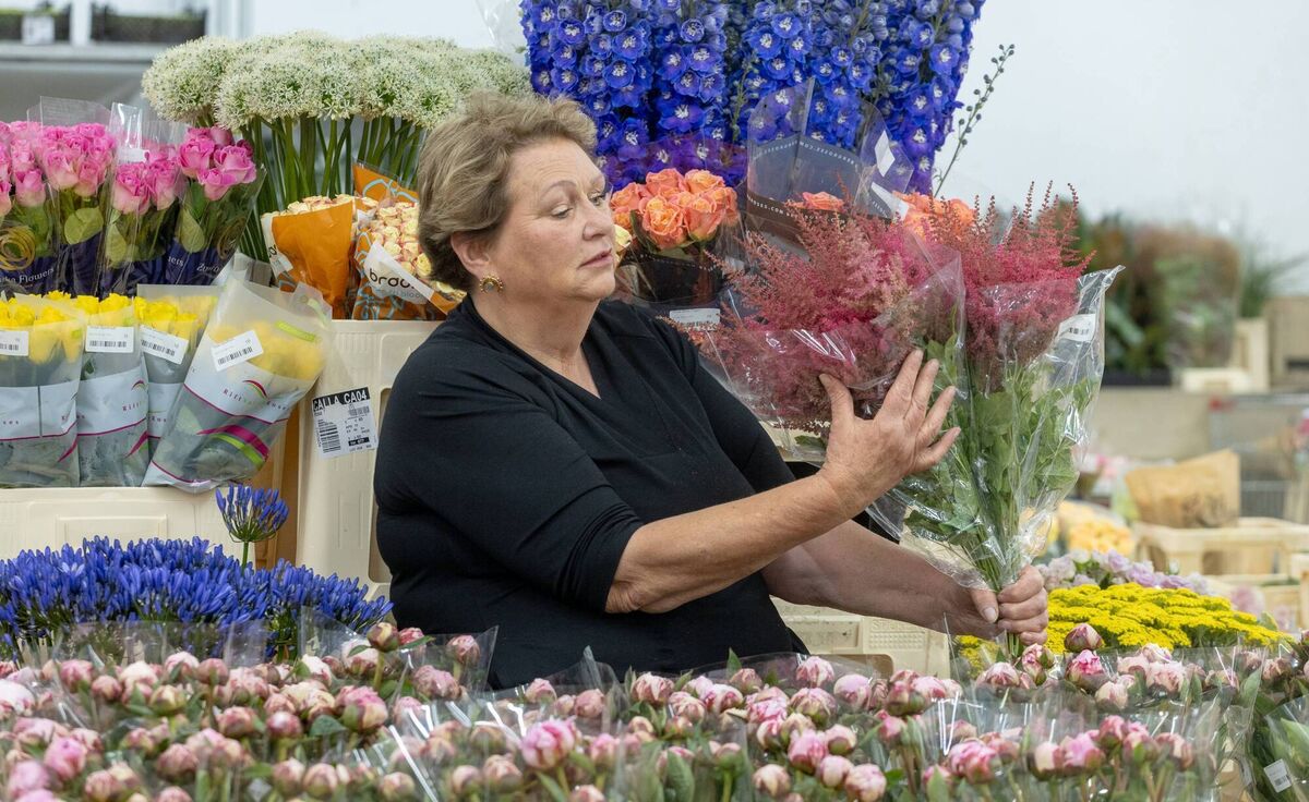 How Hollywood's Irish 'stunt florist' got to blossom on silver-screen sets