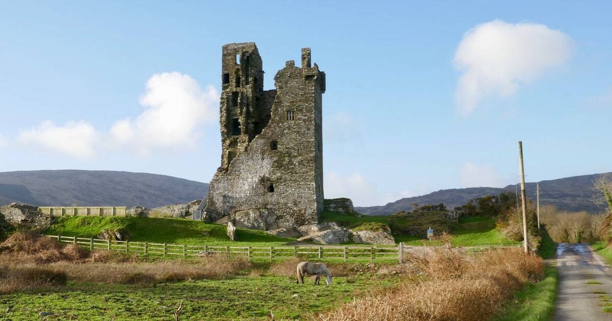 Castle Donovan, an historic slice of real estate, can be yours for just ...