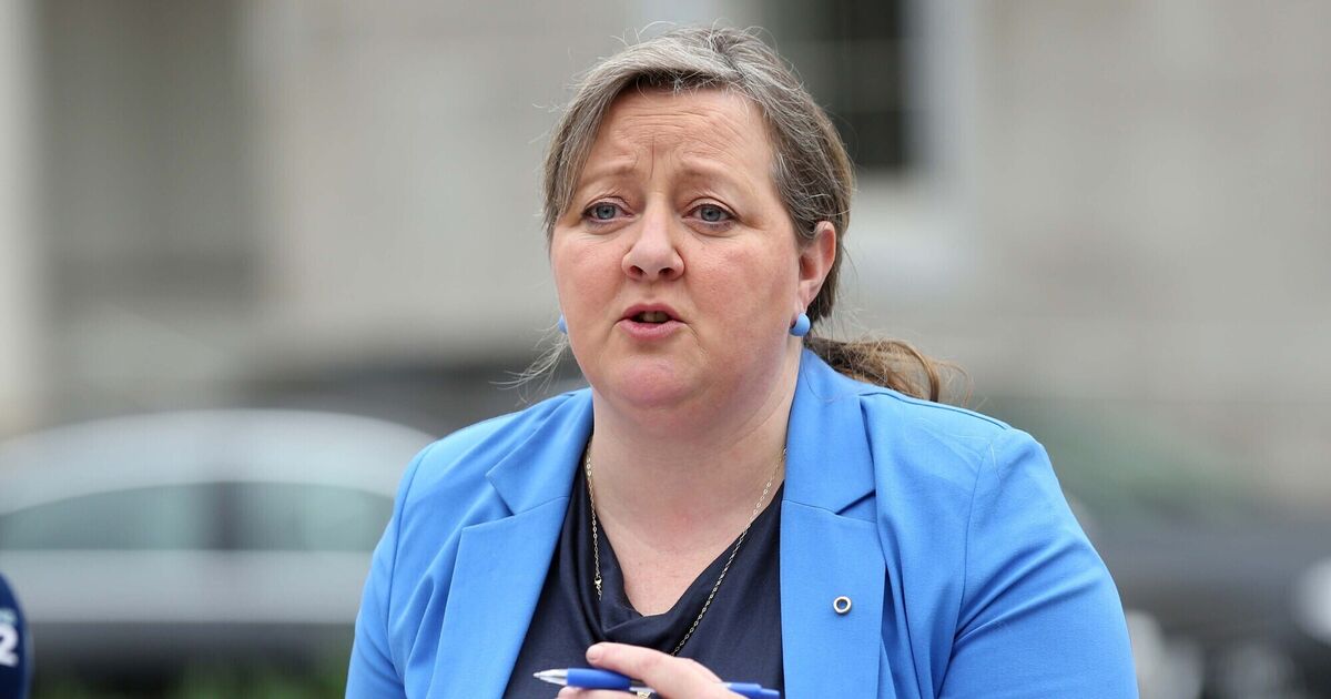 Senator Róisín Garvey elected as deputy leader of Green Party