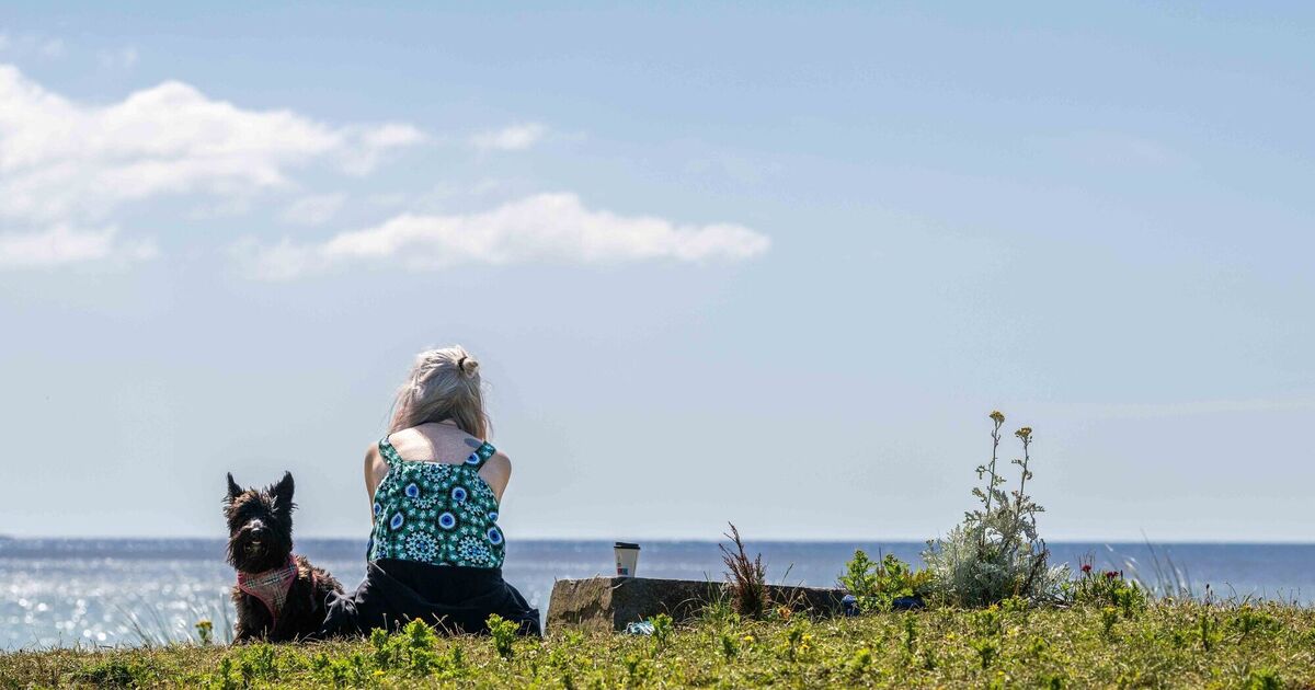 Maeve Lee - Journalist Profile - Intelligent Relations