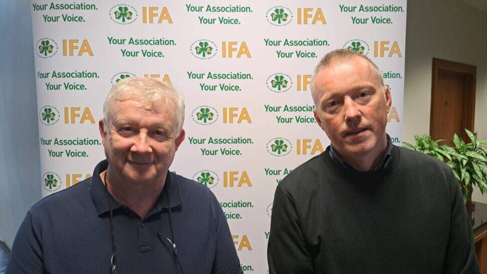 Farmers 'no longer view forestry as a safe investment' says new IFA ...