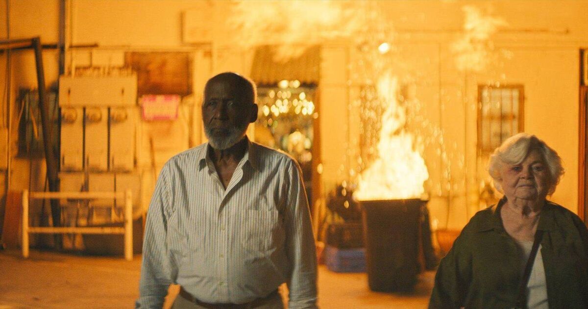 Film review: June Squibb's performance is wholly worthy of this ...