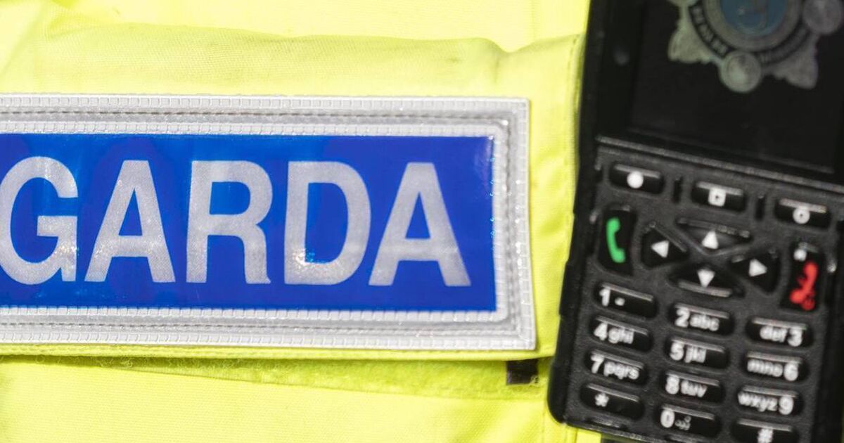 18 firearms seized as part of garda operation in Louth