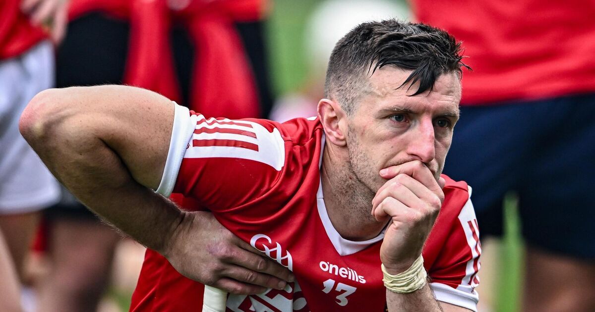 Horgan played every minute of All-Ireland final with hamstring injury