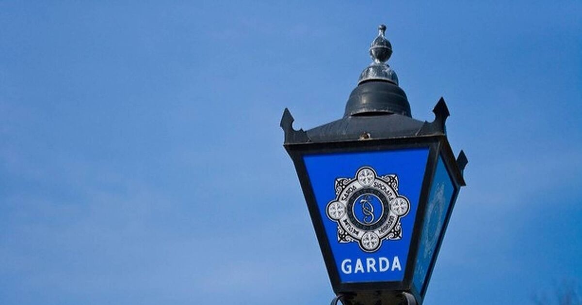 Large amounts of cash and drugs in Garda stores putting staff at risk ...