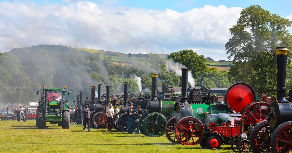 Celebrate 60 years of Ireland’s largest vintage rally at Stradbally!