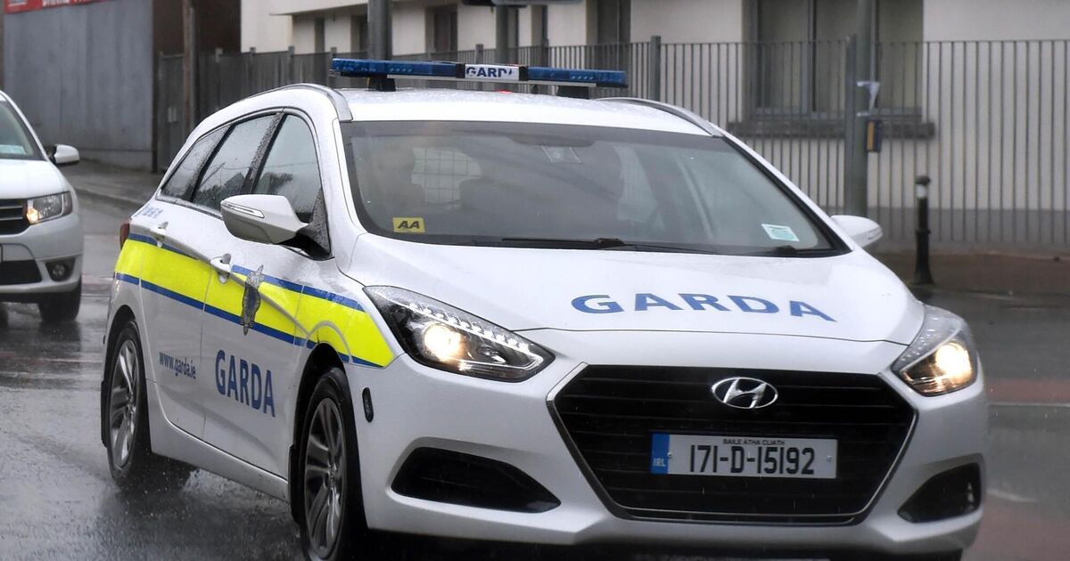 Man leapt out window of ex's home when gardaí arrived after domestic ...