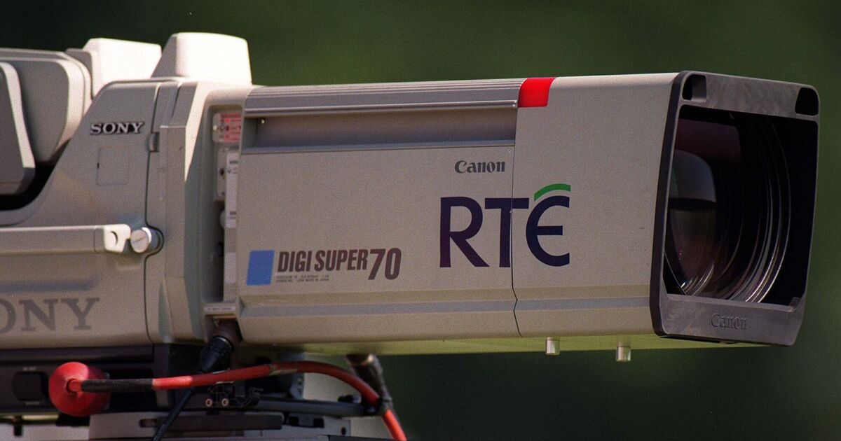 Elaine Loughlin: Catherine Martin chose the weakest and least radical ...