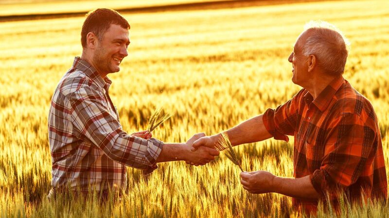 Navigating the bureaucracy: How an expert agri advisor can help you