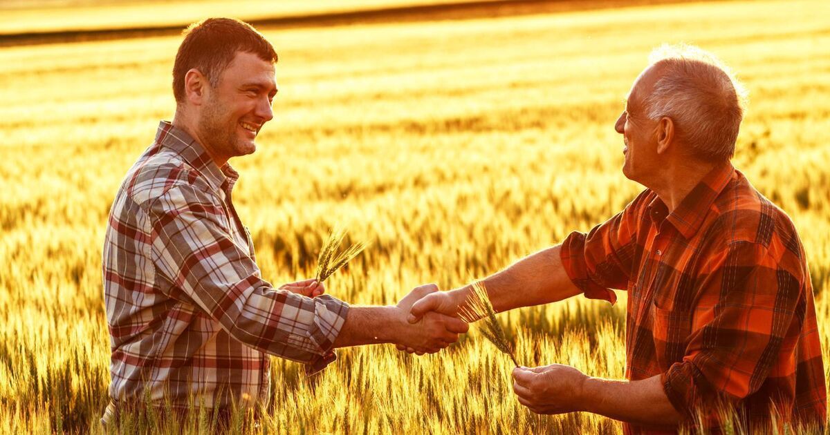 Navigating the bureaucracy: How an expert agri advisor can help you