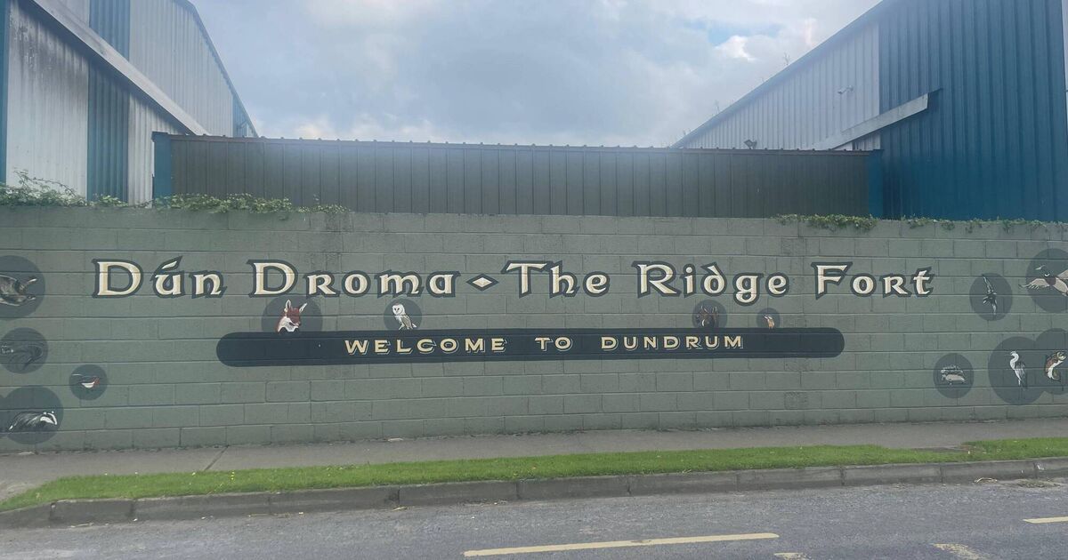 Dundrum residents opposing asylum centre plans don't want violence ...