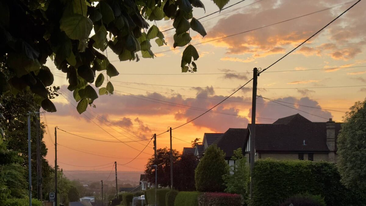 Waste disposal: How to cut your household bin bills