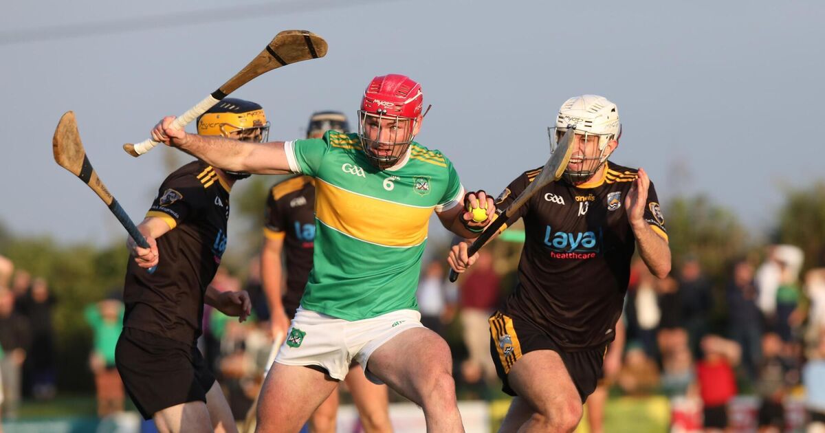 Castlelyons ease to victory over Fermoy