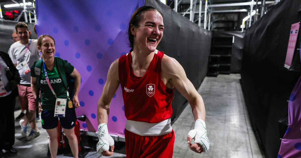 Harrington to bid international boxing farewell with fight for second ...