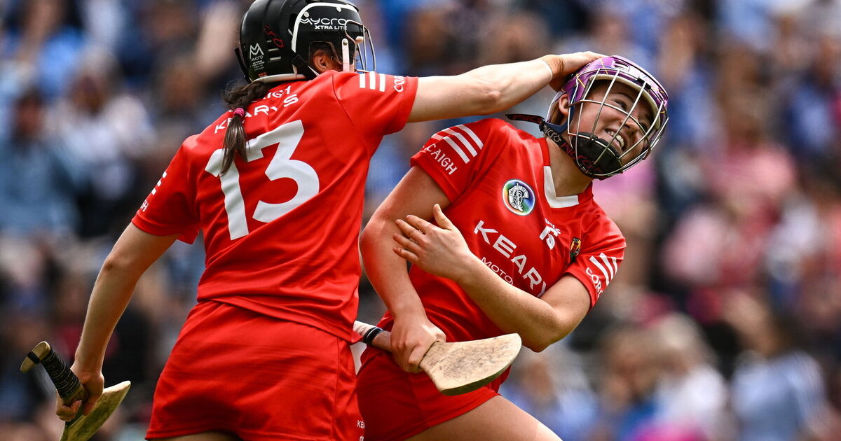 All-Ireland camogie final: Cork player-by-player guide