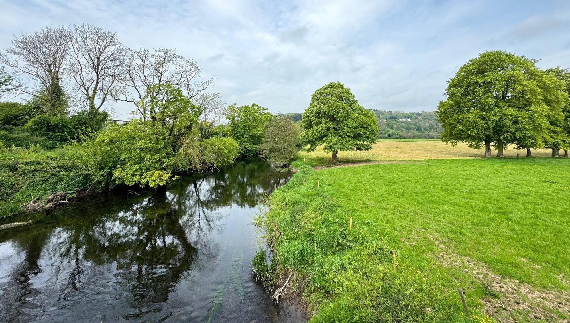 Cork communities asked for their views on the health of local rivers