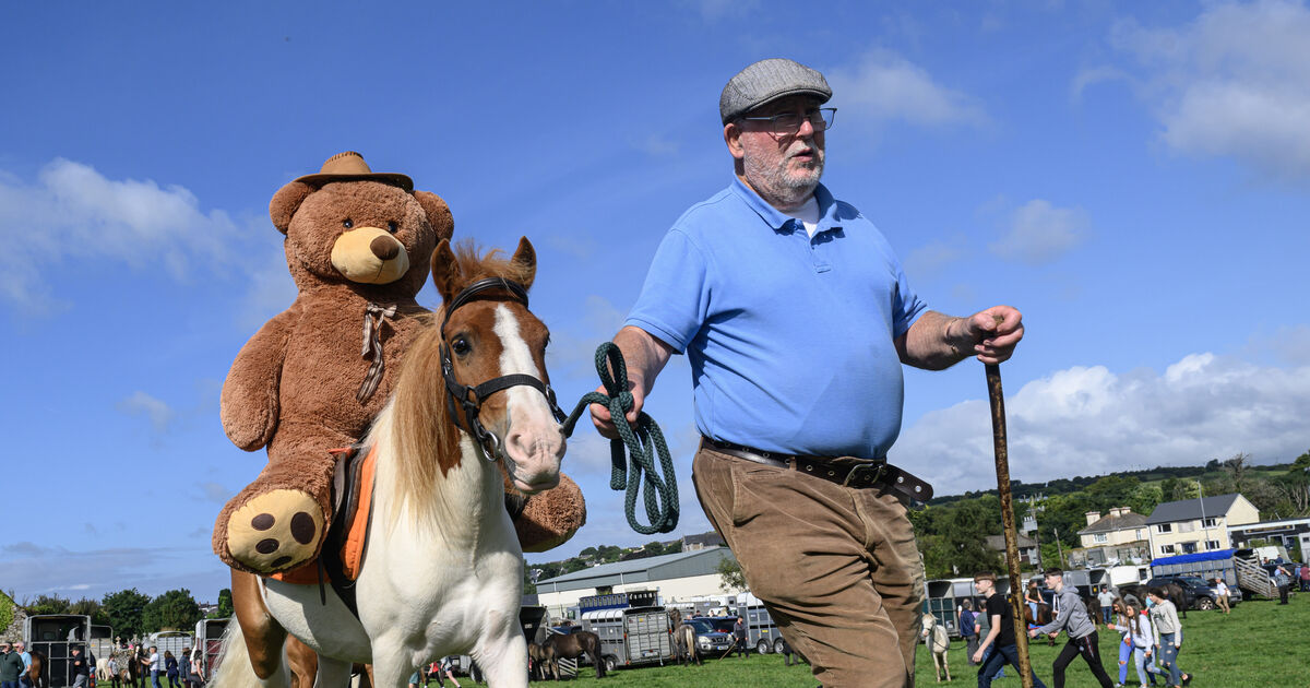 Watch: Puck fair regular brings fun to the event