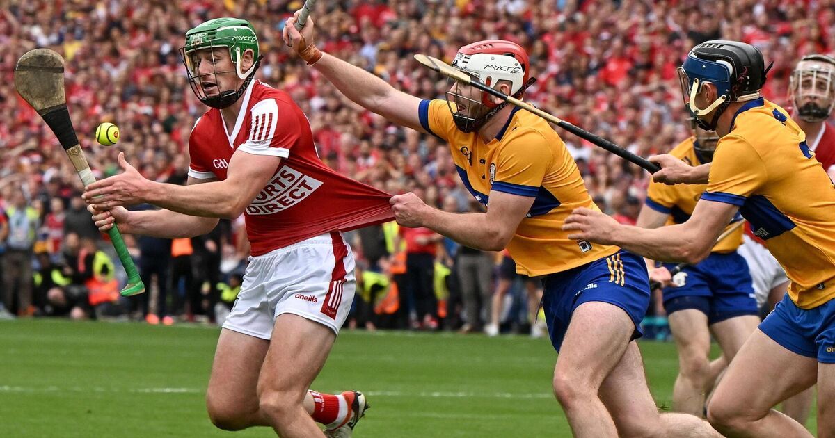 Patrick Horgan: Need for video refereeing highlighted by O'Flynn-Leen ...