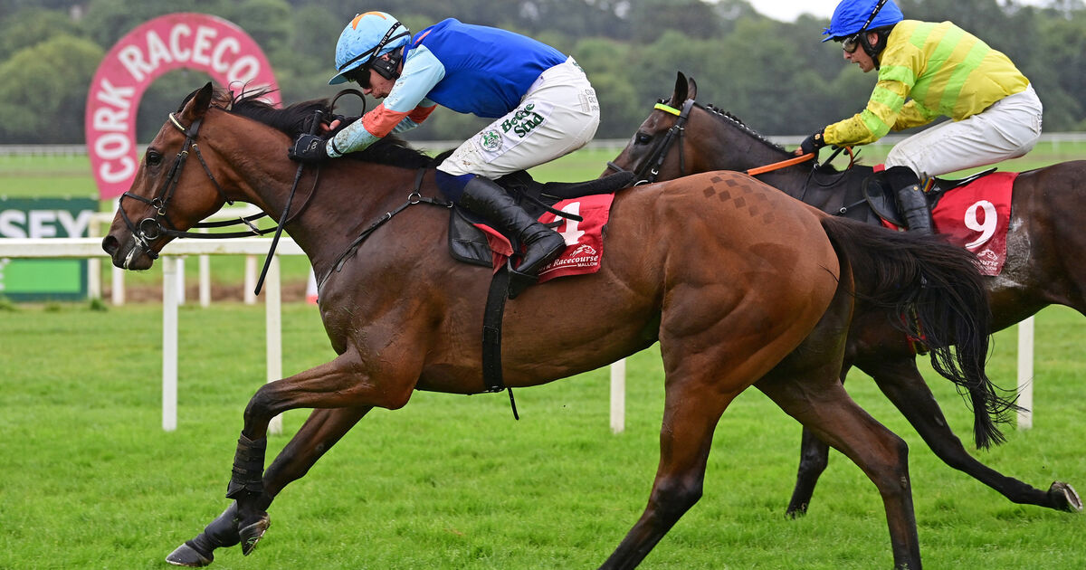 Step up in trip should suit Major Barry at Killarney