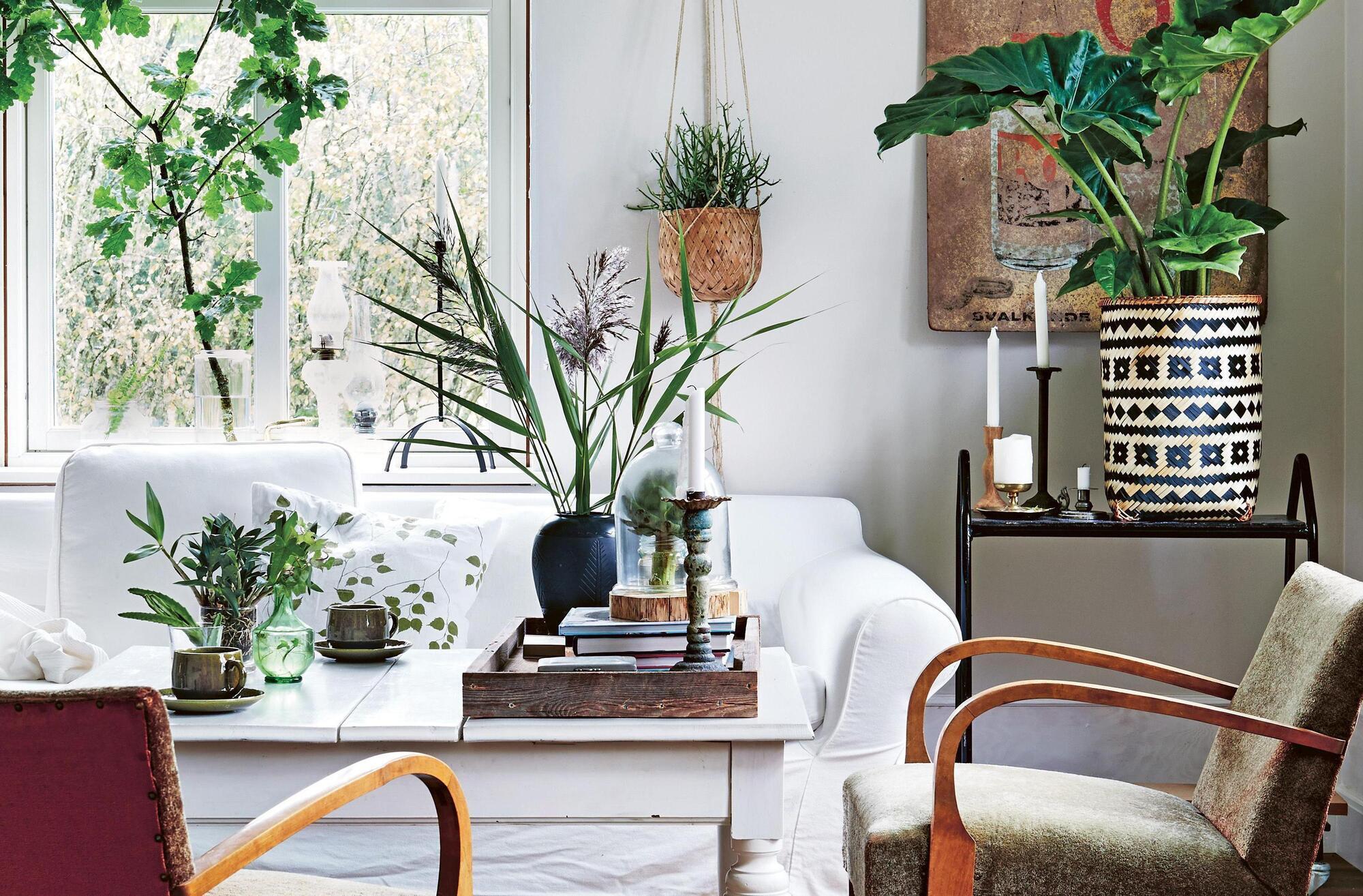 Interior design: Will a home makeover transform your life?