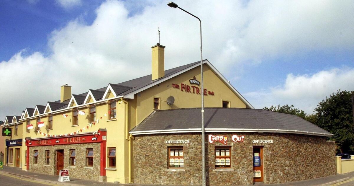Cork TDs slam 'sham' poll on permitting Ukrainian refugees to live in ...