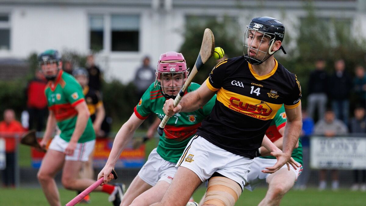 Clare SHC: Ballyea resusitate championship challenge