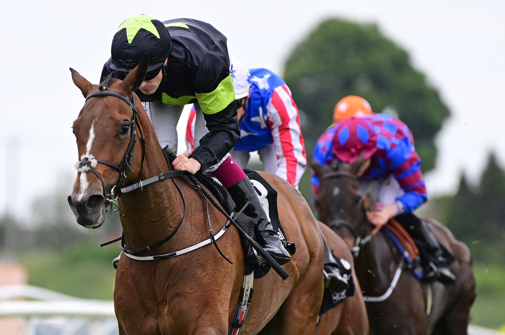 Henry de Bromhead-trained Magical Zoe claims Ebor glory in style