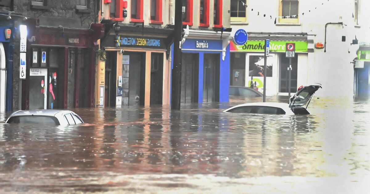 Environmental experts appointed to find natural solutions to Cork floods