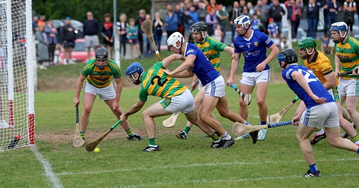 Cork keeper Pa Collins has game to remember as Ballinhassig win lively ...