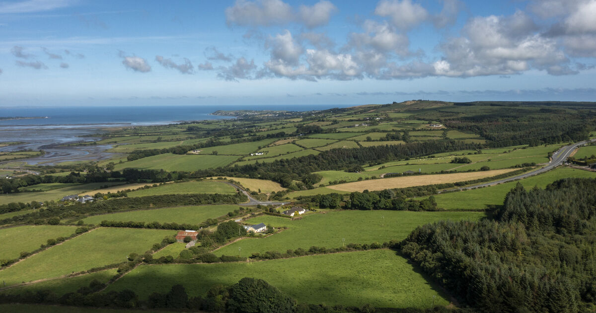 72-acre Dungarvan farm with view of bay to fetch up to €13k/acre