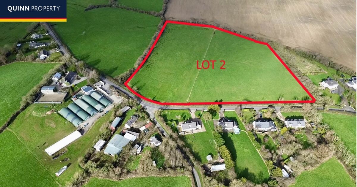 35-acre farm in Wexford exceeds expectations at auction