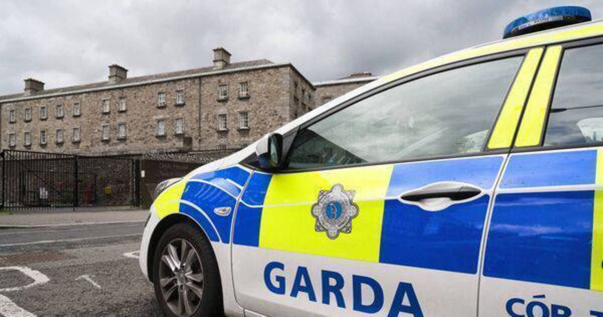 Gun shot on Cork to Limerick road linked to attack that left girl with ...