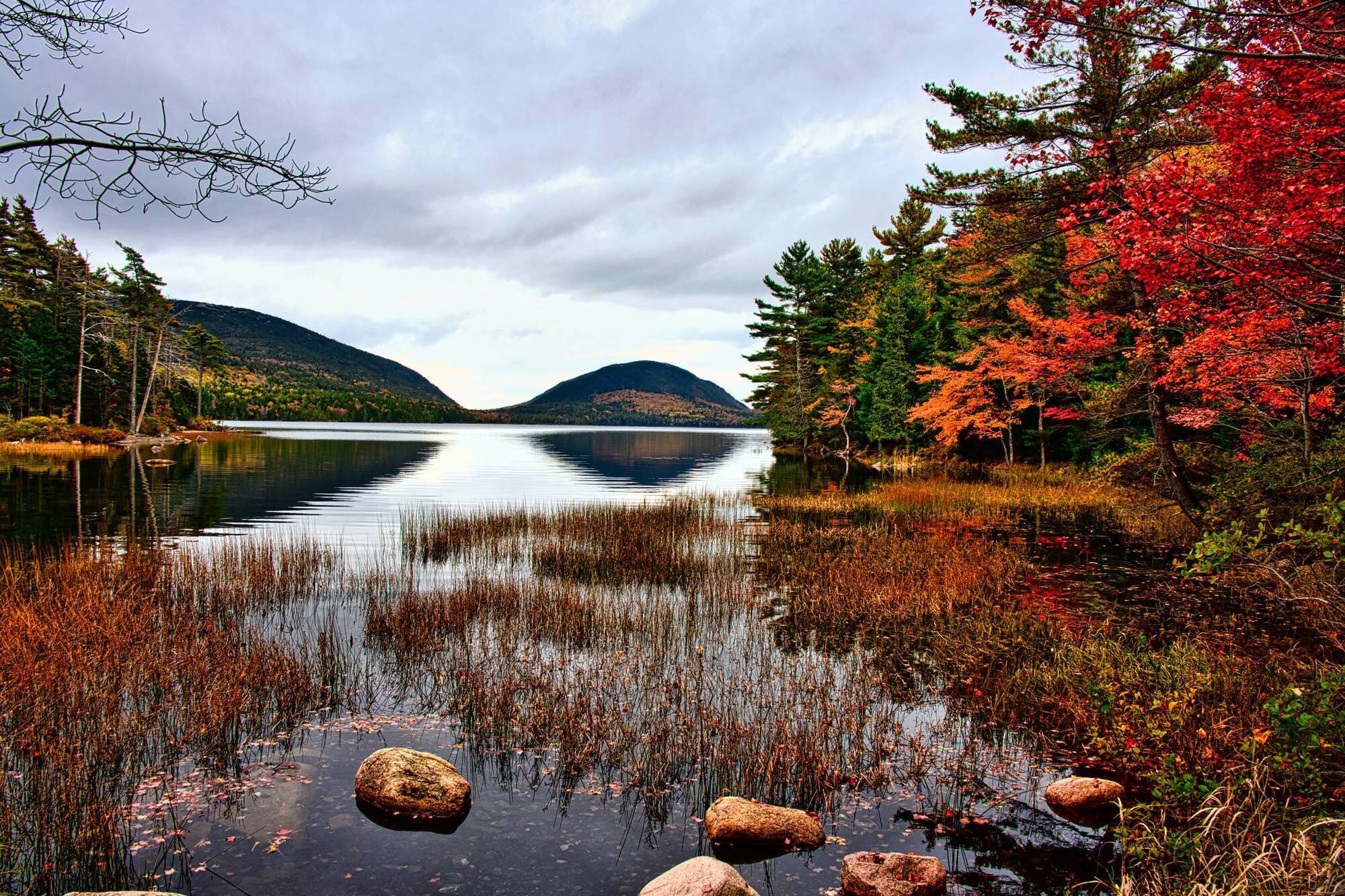 Peter Dowdall: Ireland's autumn display should be as spectacular as New ...