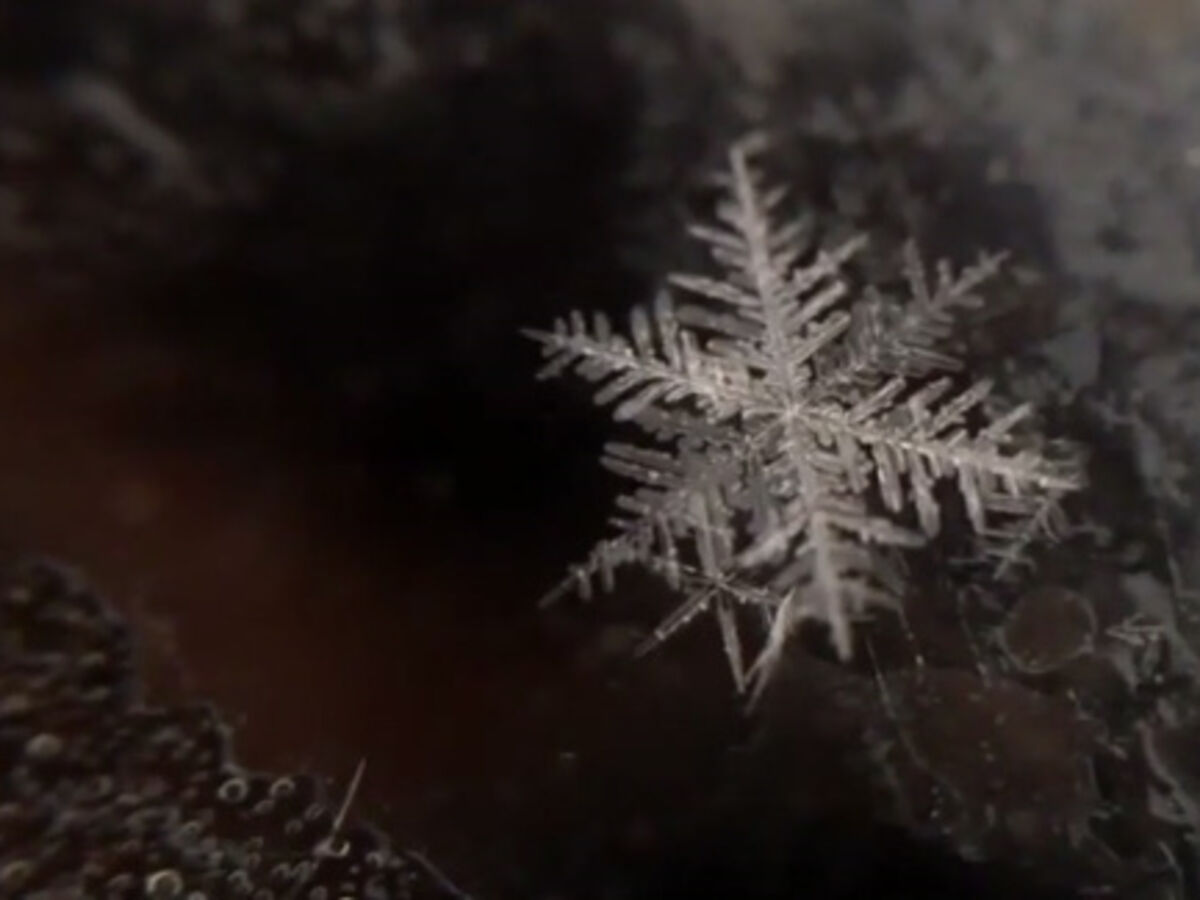 Perfect Snowflake