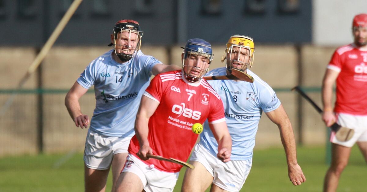Limerick SHC: Late Adam English double gives Doon victory over Na Piarsaigh