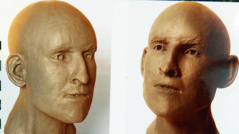 Unidentified human skull found on Lambay Island is not on human remains ...