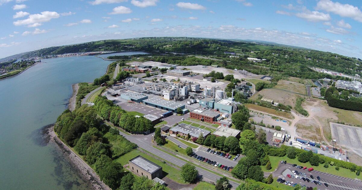 Earn and Learn: Upskilling is key in any career journey