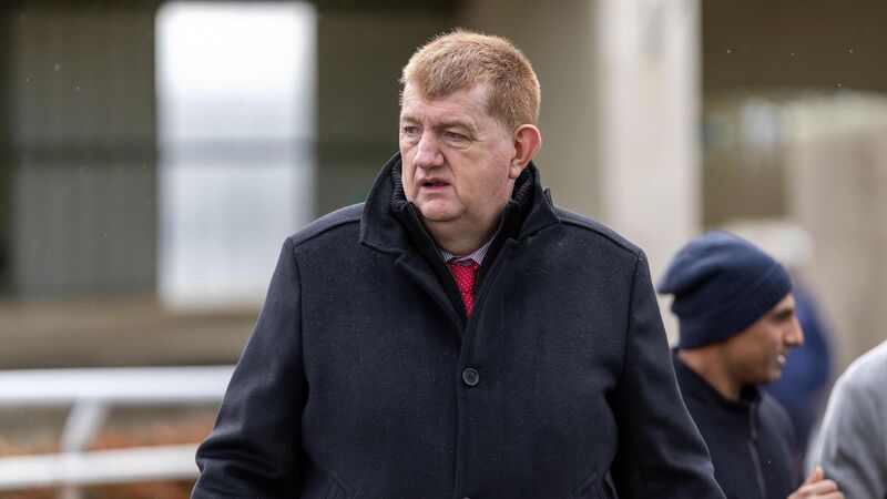 Trainer 'Shark' Hanlon loses licence for 10 months over transport of ...