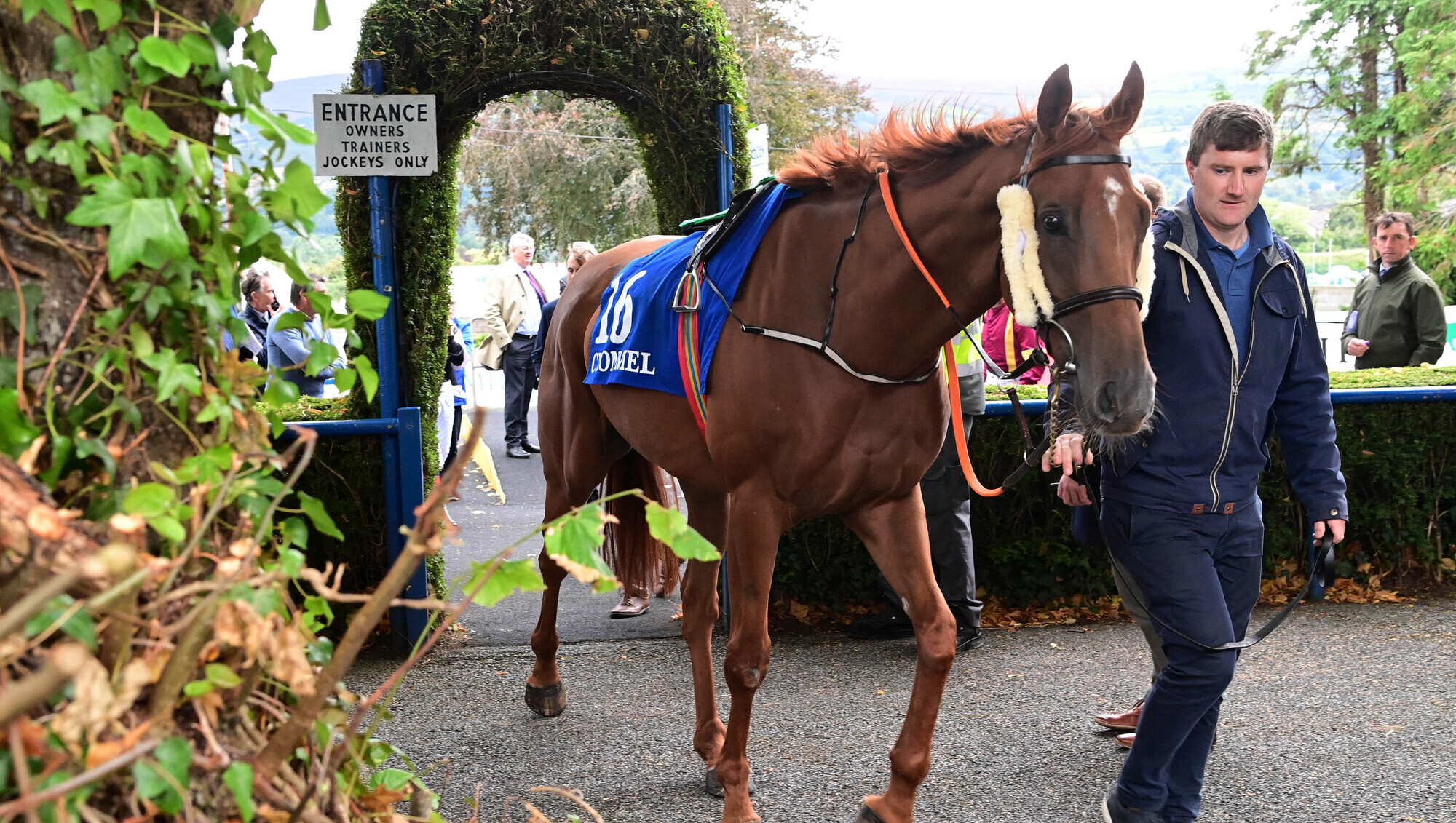 Tree scare at Clonmel as Coen claims double