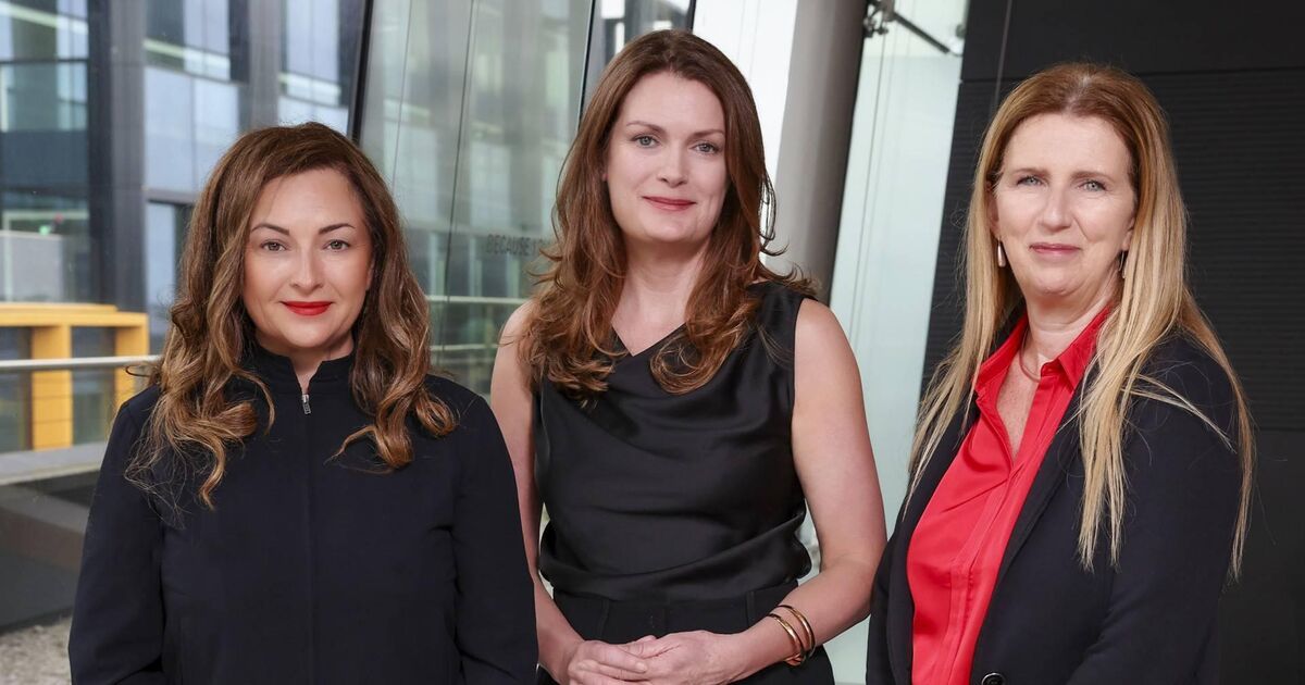 Newsbrands appoints new chair and vice chair