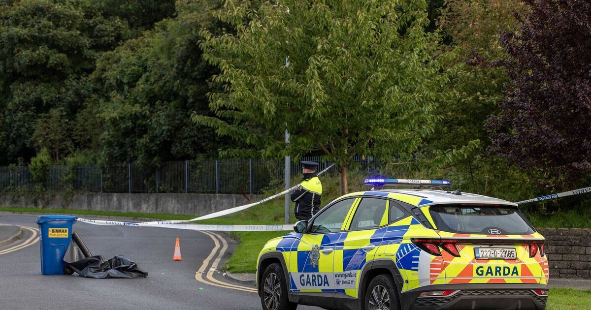 Investigation in Ennis after man, 60s, discovered with serious head ...