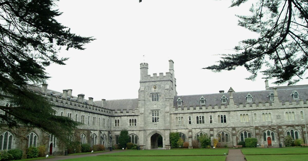 Irish Examiner view: We cannot take our universities for granted