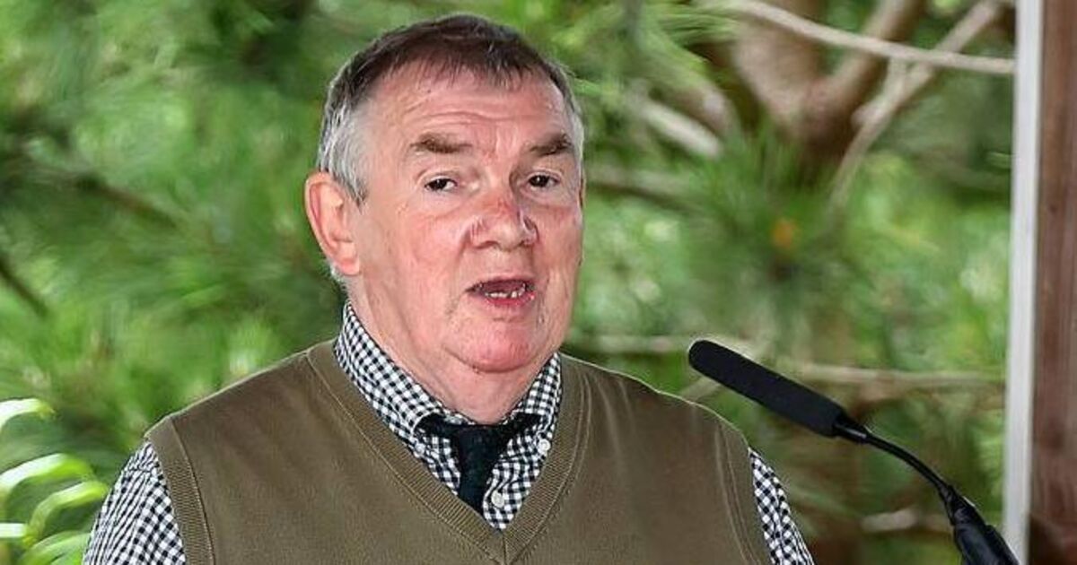 Sarah Harte: Thomas McCarthy’s book offers an original and beady take ...