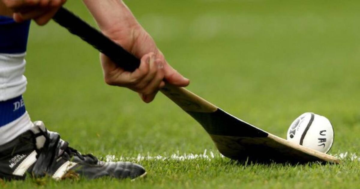 New national hurling director position being considered by development ...