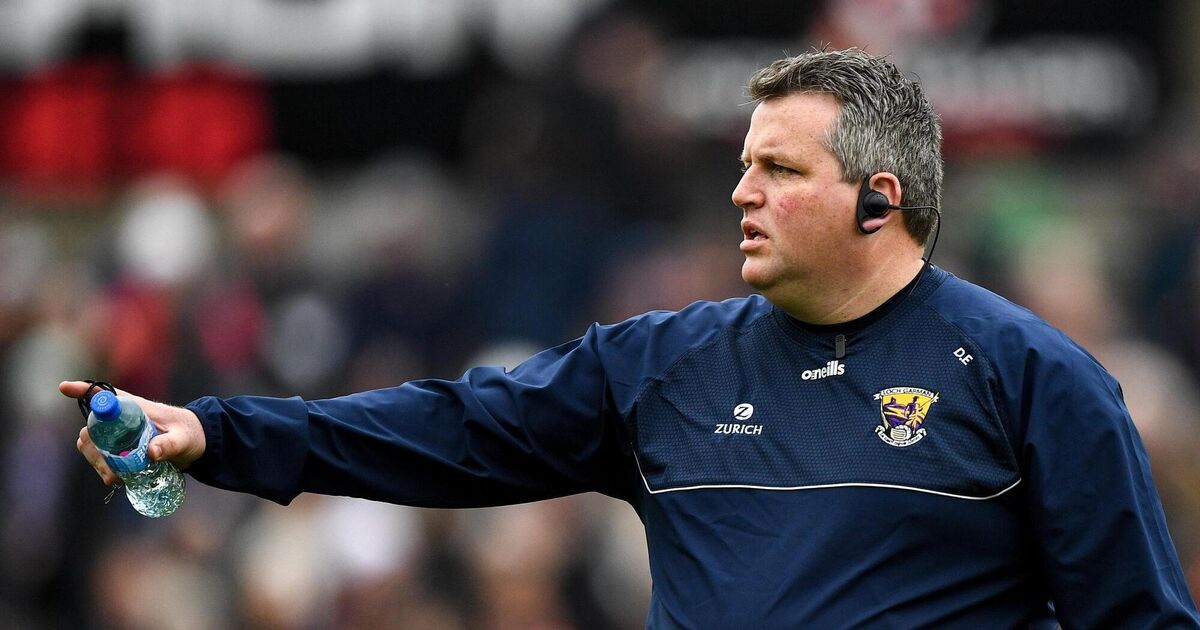 Former Wexford manager Darragh Egan takes up new managerial role overseas