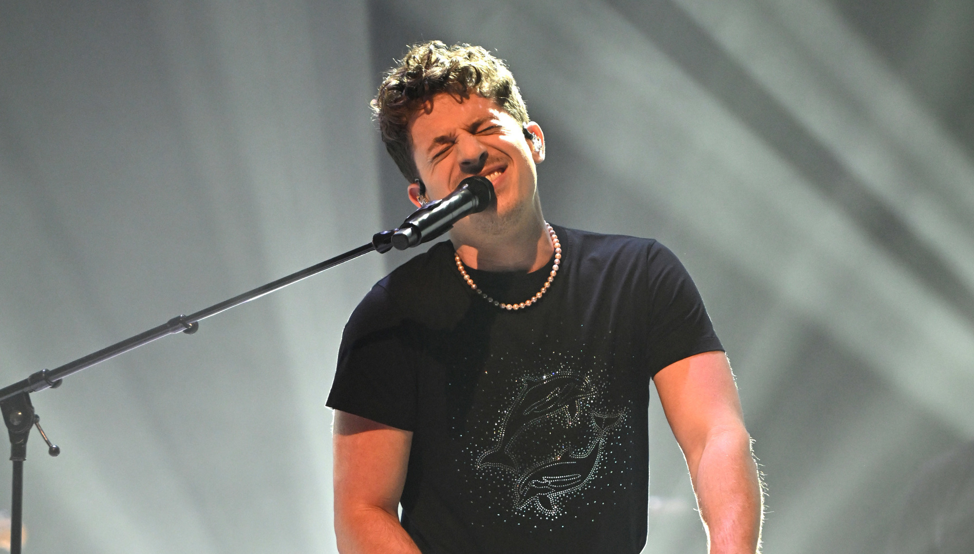 Charlie Puth marries partner Brooke Sansone: It has always been you